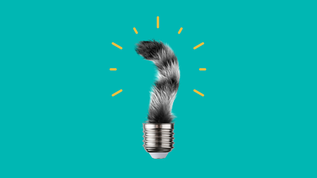 World Creativity and Innovation Day | Creation Agency